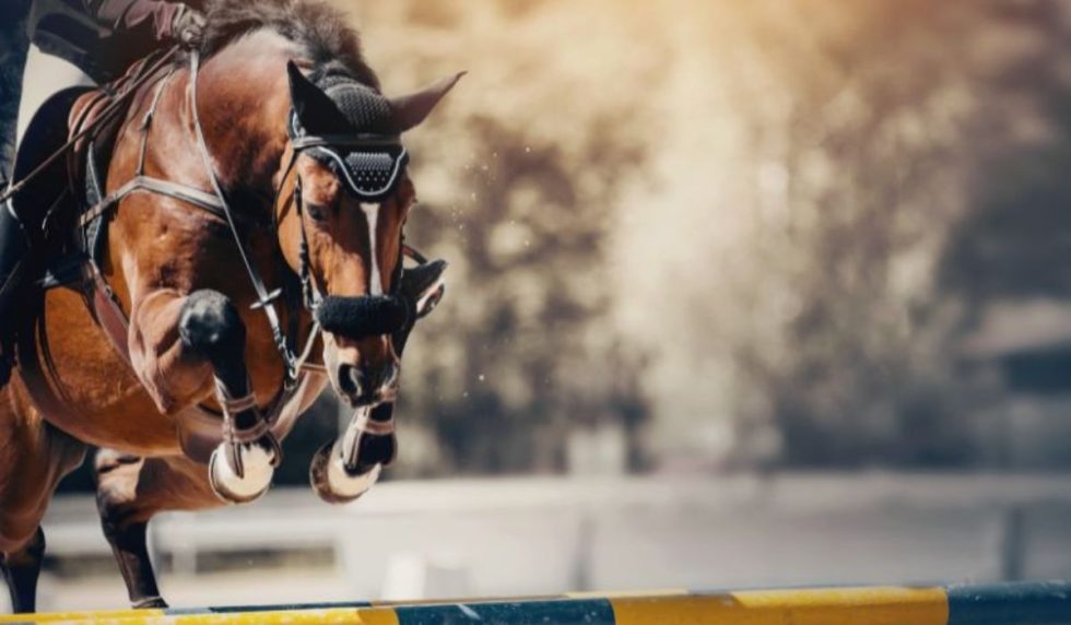Nombres de caballos famosos - Conoce a los más icónicos